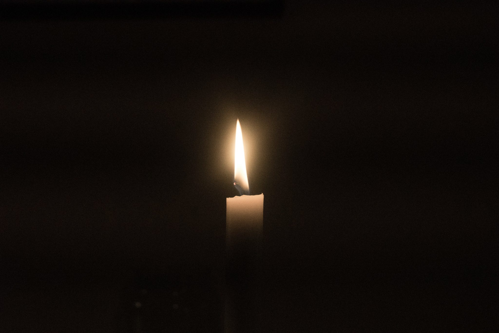 Finding the Right Timing for a Meaningful Funeral Service - Hollywood ...